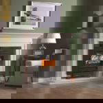 Purevision Stoves | Fireplace Finesse